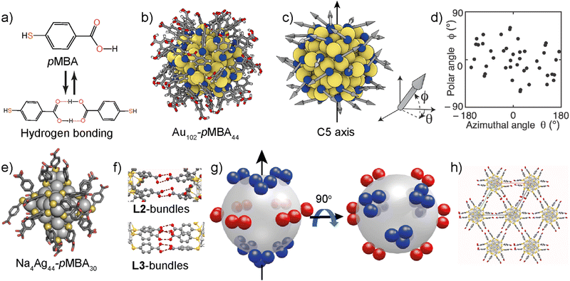 Precision nanoengineering for functional self-assemblies across length ...