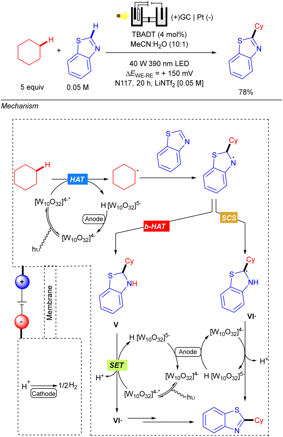 C–C bond formation via photocatalytic direct functionalization of ...