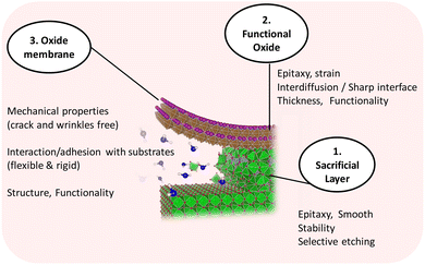 Chemical synthesis of complex oxide thin films and freestanding ...