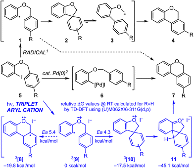 Aryl–aryl cross-coupling reactions without reagents or catalysts ...