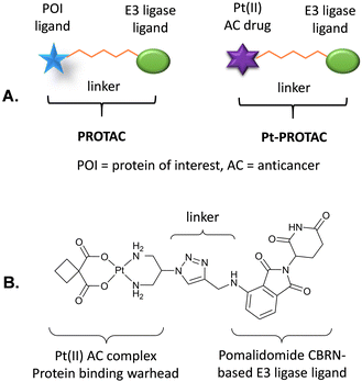 First-in-class metallo-PROTAC as an effective degrader of select Pt ...