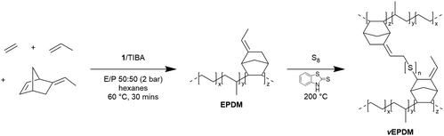 Fully tuneable ethylene–propylene elastomers using a supported ...