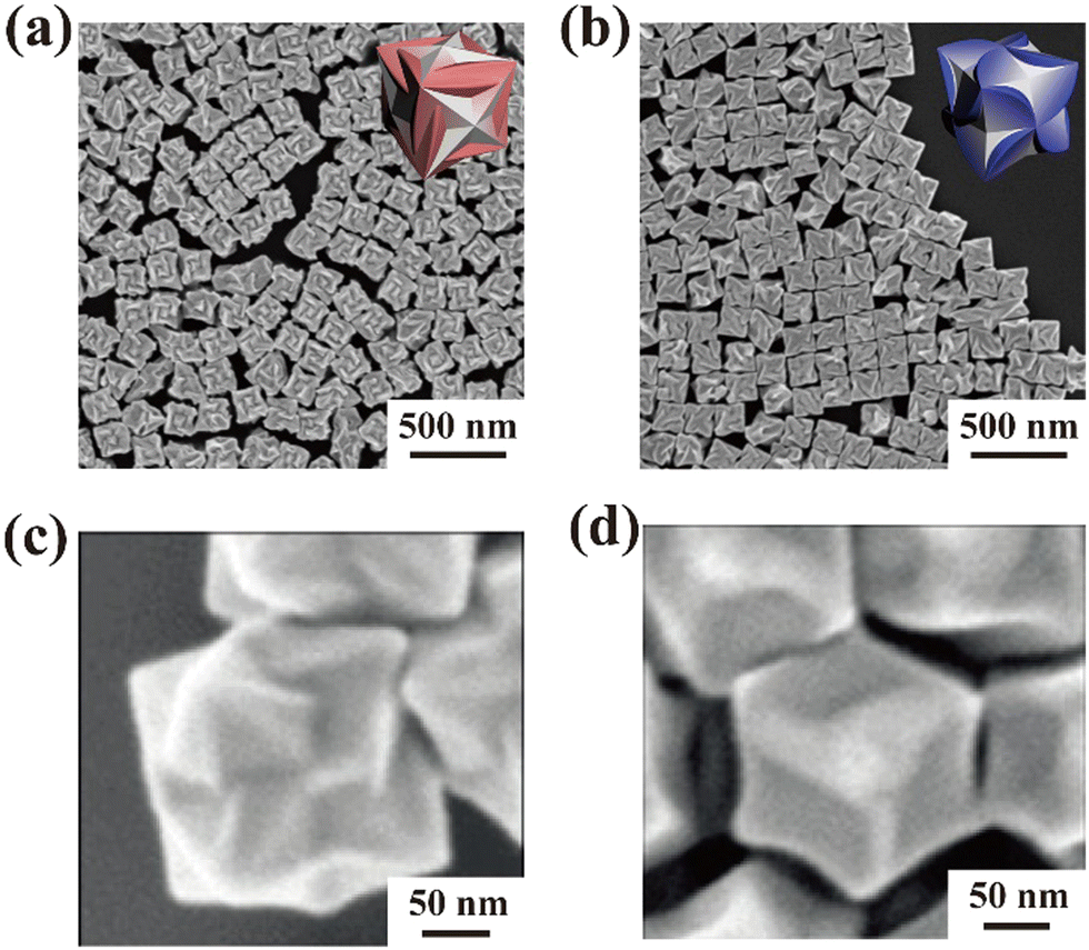 Shape control of Au nanostructures using peptides for biotechnological ...