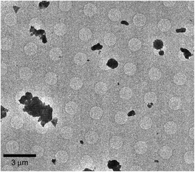 Microcrystal electron diffraction (MicroED) structure determination of ...