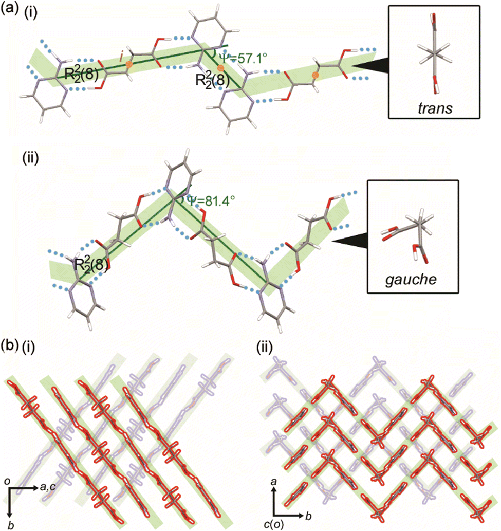 Microcrystal electron diffraction (MicroED) structure determination of ...