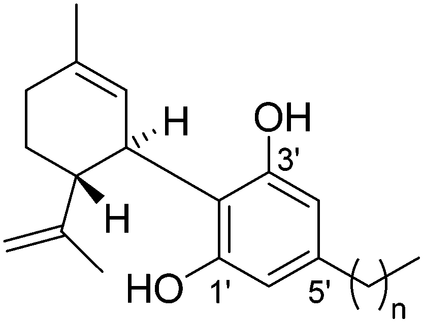 Polymorph prediction through observed structural isomorphism leading to ...