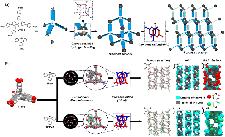The introduction of a base component to porous organic salts and their ...