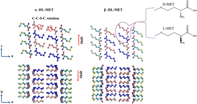 Simulation of solid-state phase transition in dl -methionine ...