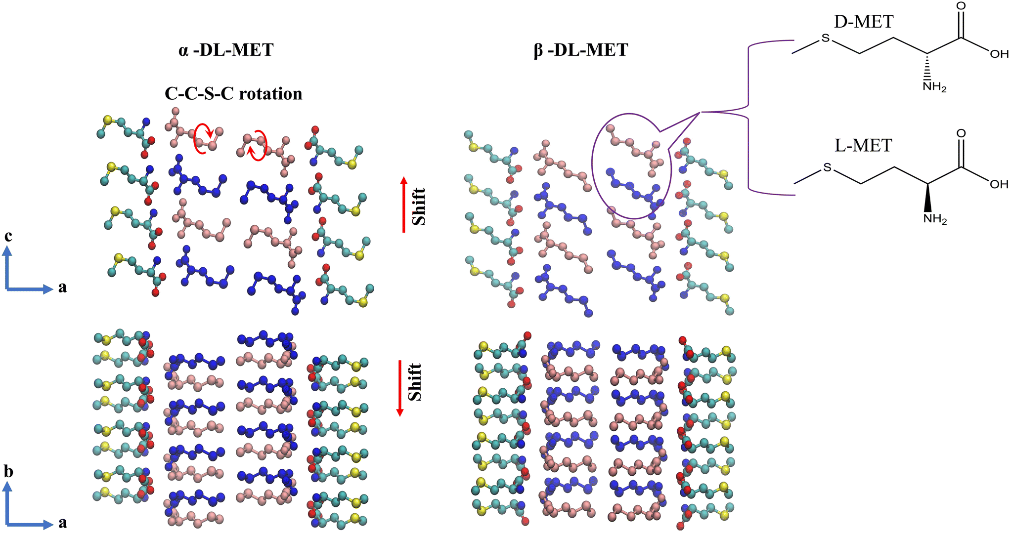 Simulation of solid-state phase transition in dl -methionine ...