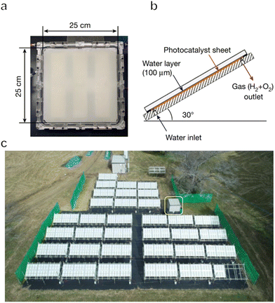 A perspective on two pathways of photocatalytic water splitting and ...