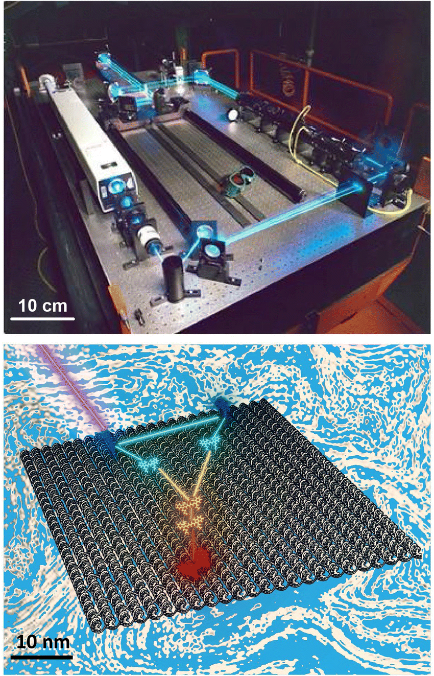 Pursuing excitonic energy transfer with programmable DNA-based optical ...
