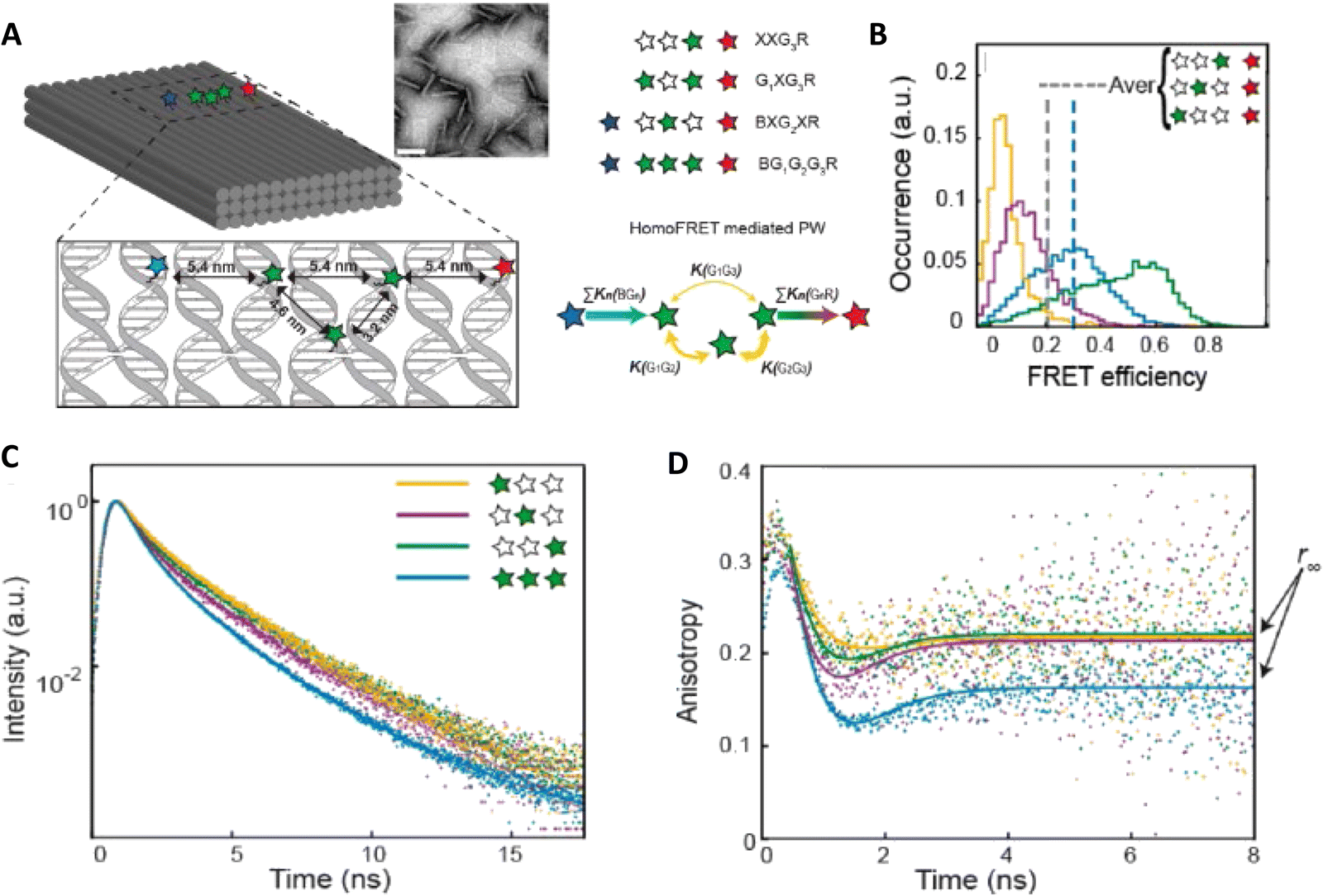 Pursuing excitonic energy transfer with programmable DNA-based optical ...