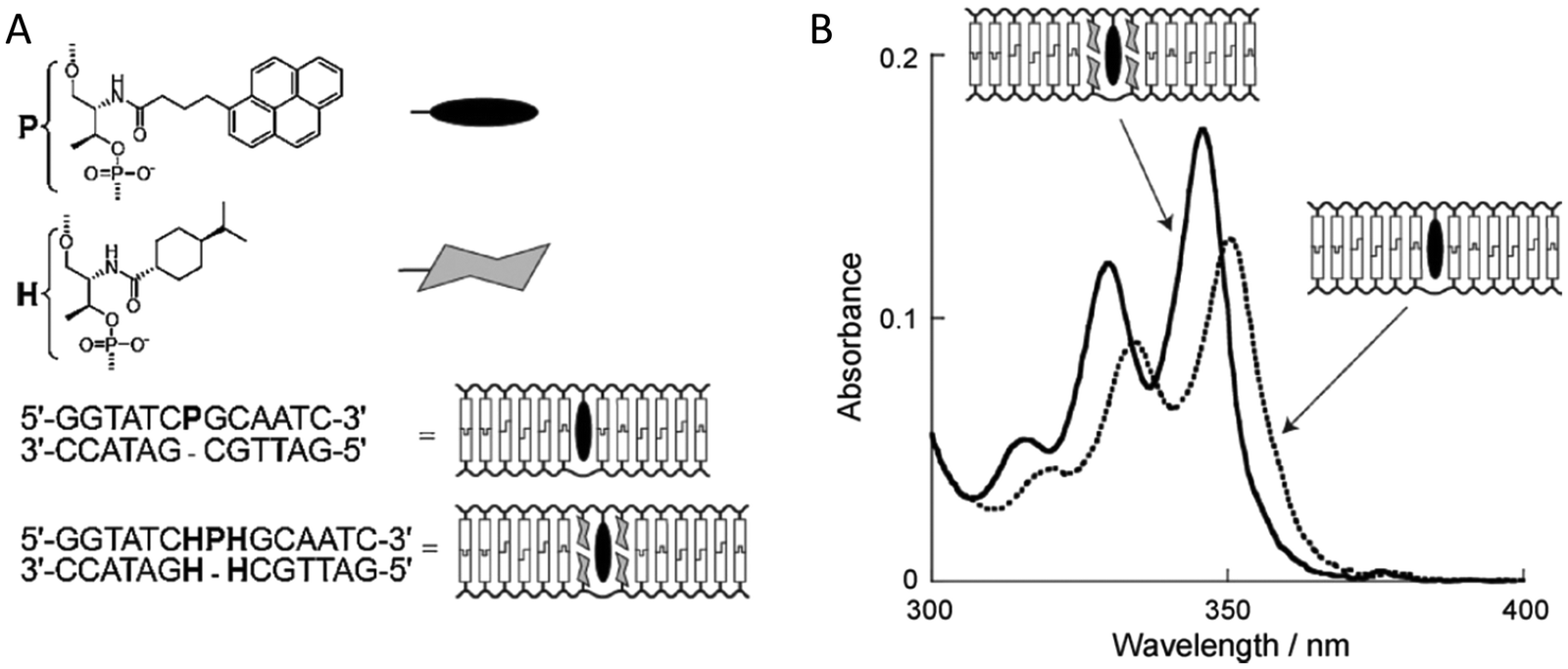 Pursuing excitonic energy transfer with programmable DNA-based optical ...