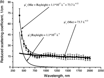 The role of the light source in antimicrobial photodynamic therapy ...