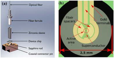 Superconducting single-photon detectors in the mid-infrared for ...