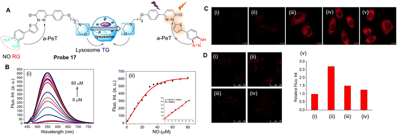 Photoinduced electron transfer (PeT) based fluorescent probes for ...