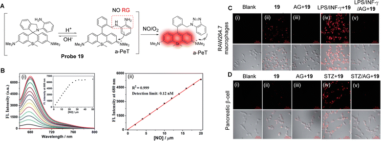 Photoinduced electron transfer (PeT) based fluorescent probes for ...