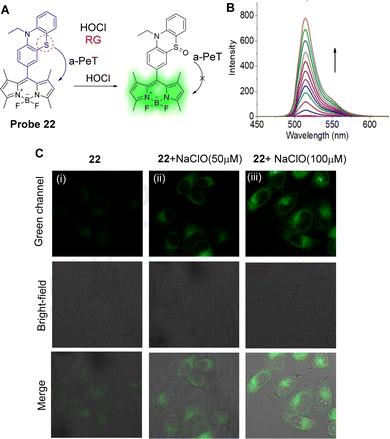 Photoinduced electron transfer (PeT) based fluorescent probes for ...