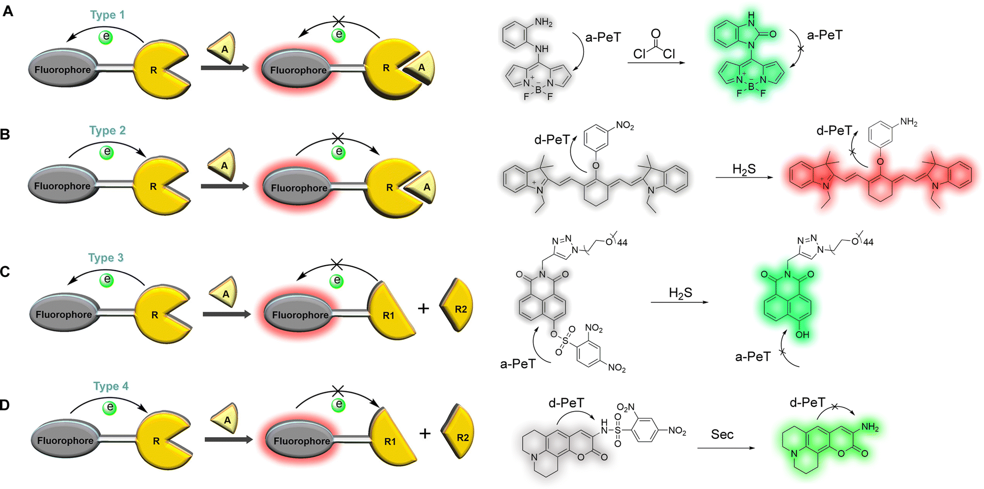 Photoinduced electron transfer (PeT) based fluorescent probes for ...