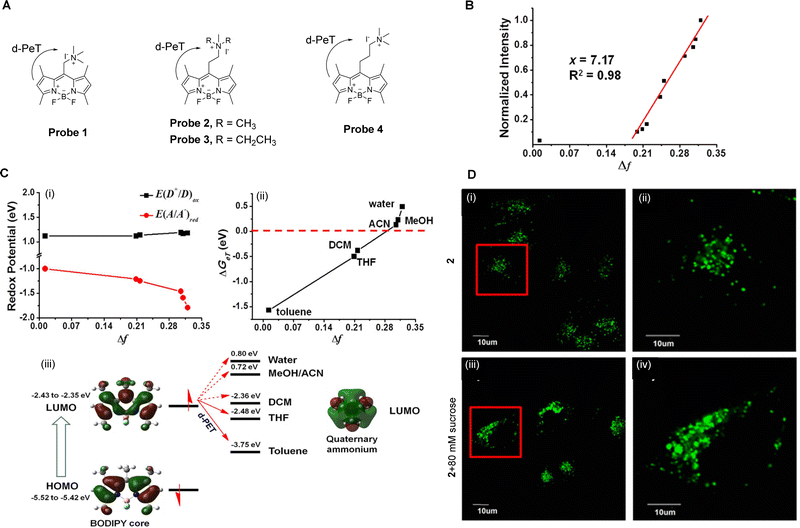 Photoinduced electron transfer (PeT) based fluorescent probes for ...