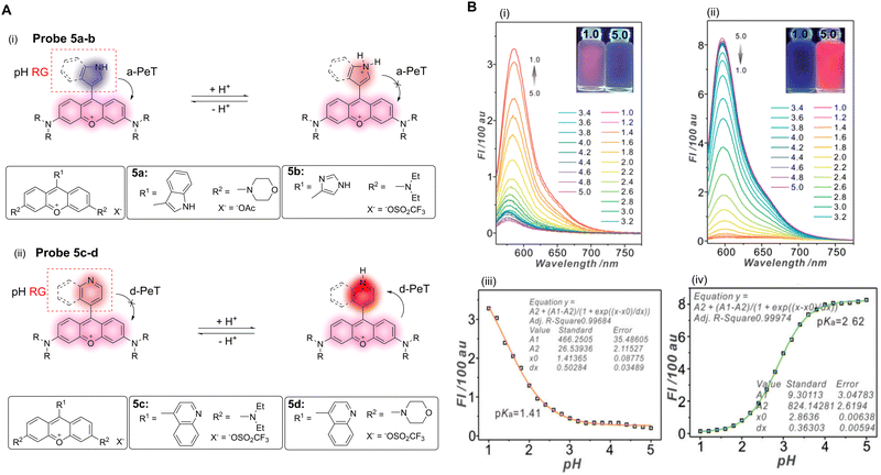 Photoinduced electron transfer (PeT) based fluorescent probes for ...