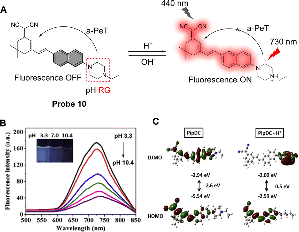 Photoinduced electron transfer (PeT) based fluorescent probes for cellular imaging and disease ...