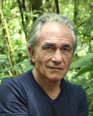 The challenge of peptide nucleic acid synthesis - Chemical Society ...