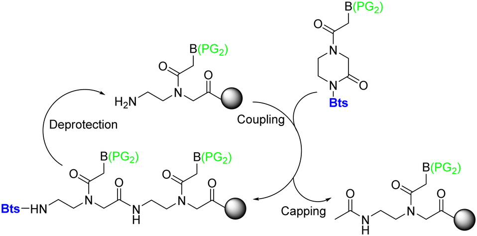 The challenge of peptide nucleic acid synthesis - Chemical Society ...
