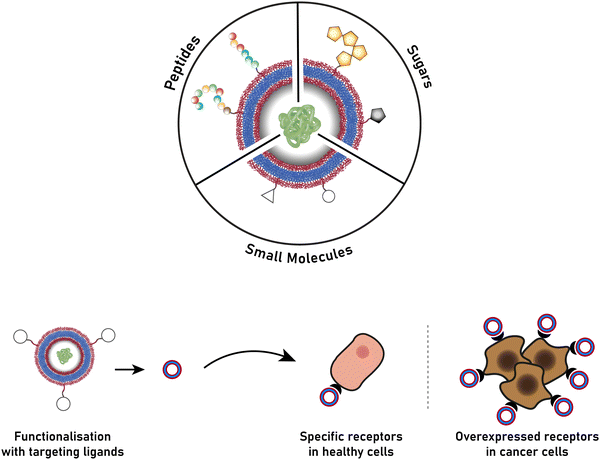 Polymersome-based protein drug delivery – quo vadis? - Chemical Society ...