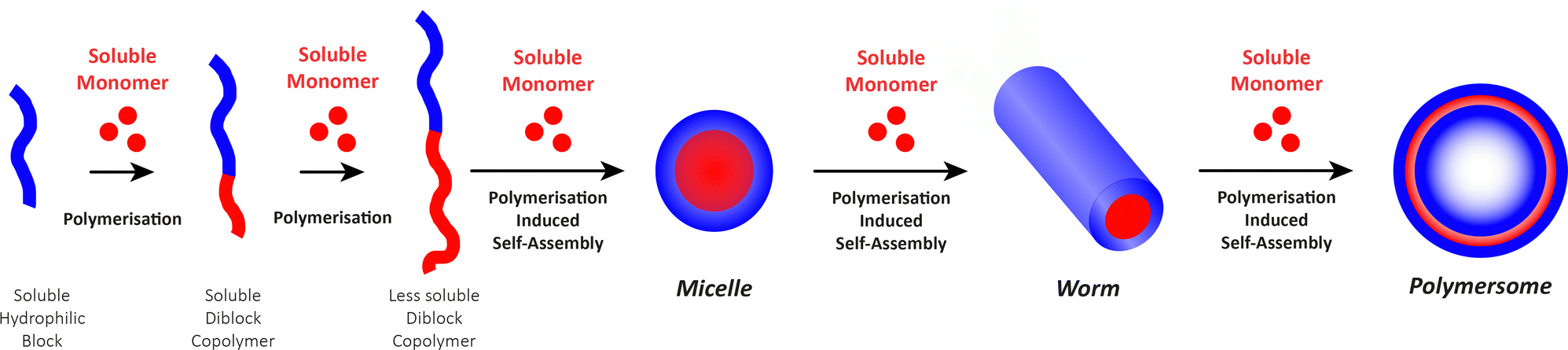 Polymersome-based protein drug delivery – quo vadis? - Chemical Society ...