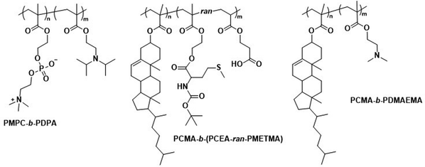 Polymersome-based protein drug delivery – quo vadis? - Chemical Society ...