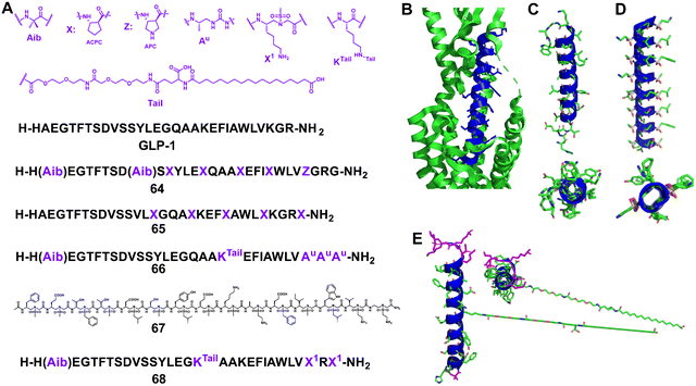 Unnatural helical peptidic foldamers as protein segment mimics ...