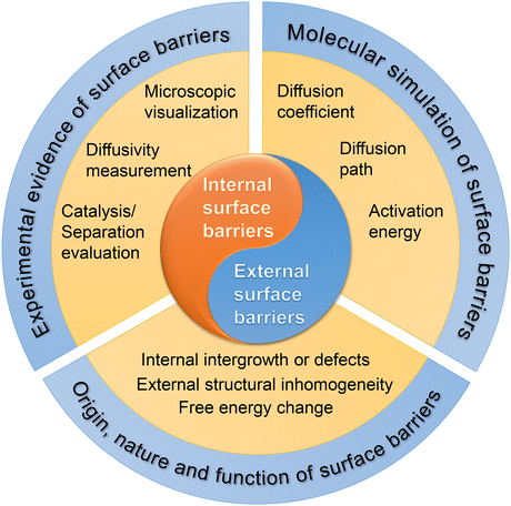 Surface barriers to mass transfer in nanoporous materials for catalysis ...