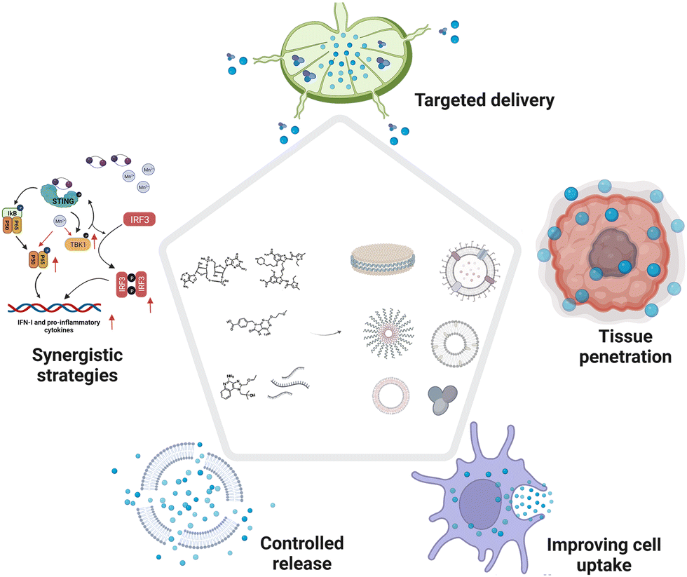 Materials engineering strategies for cancer vaccine adjuvant ...