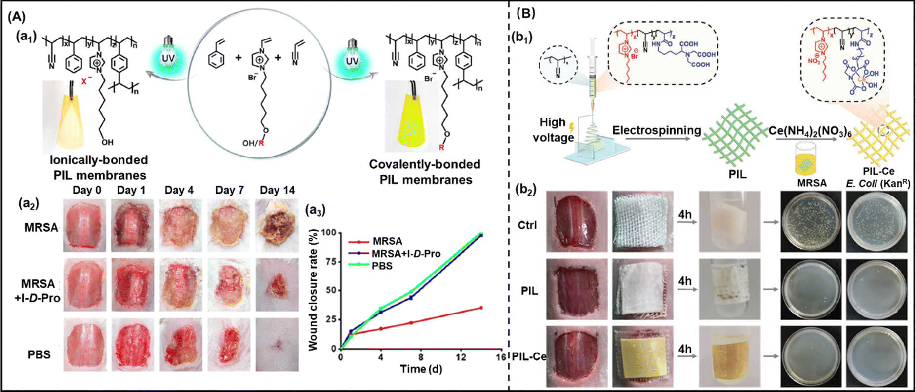 Ionogels: recent advances in design, material properties and emerging biomedical applications ...