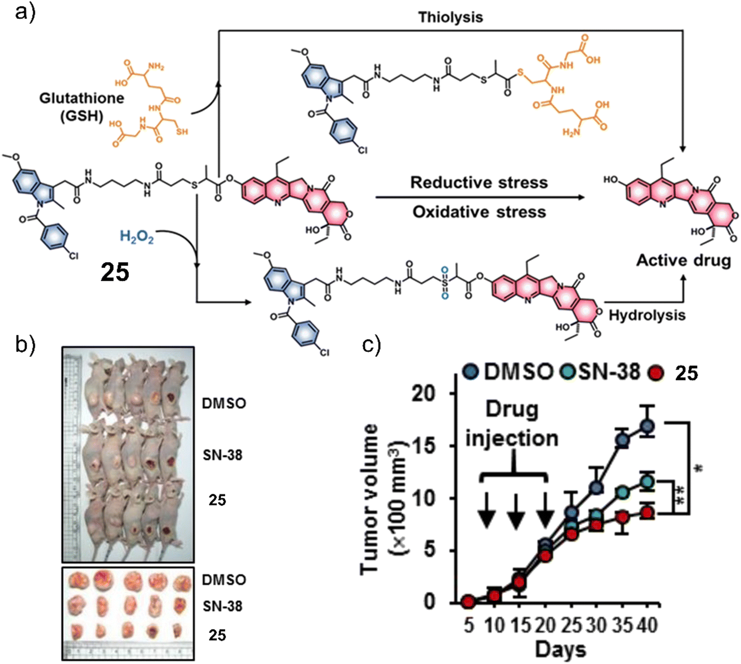 The design of small-molecule prodrugs and activatable phototherapeutics ...