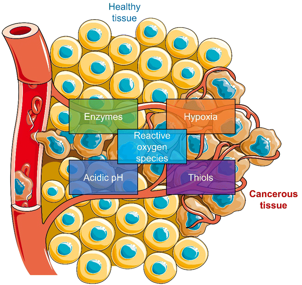 The design of small-molecule prodrugs and activatable phototherapeutics ...