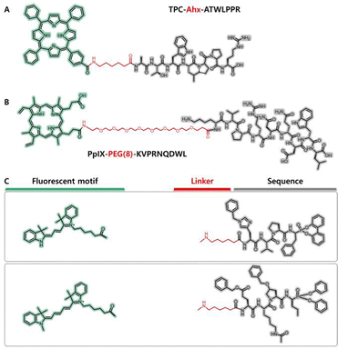 Functional chromopeptide nanoarchitectonics: molecular design, self ...