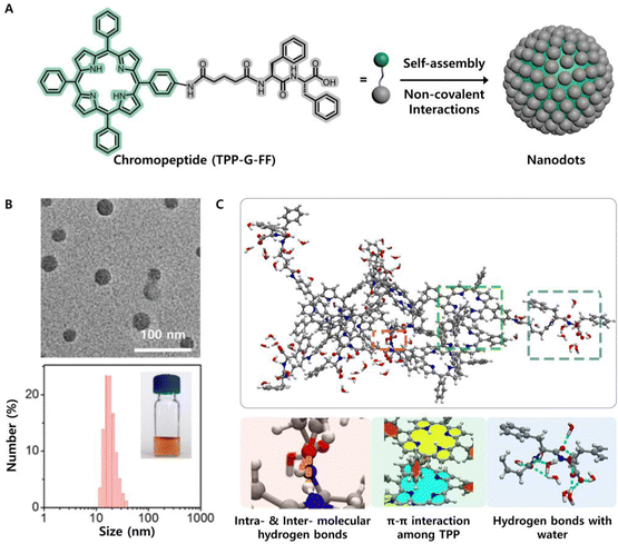 Functional chromopeptide nanoarchitectonics: molecular design, self ...