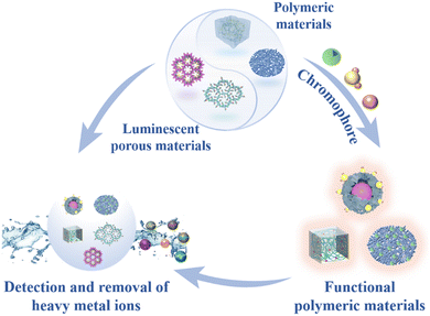 Current trends in the detection and removal of heavy metal ions using ...