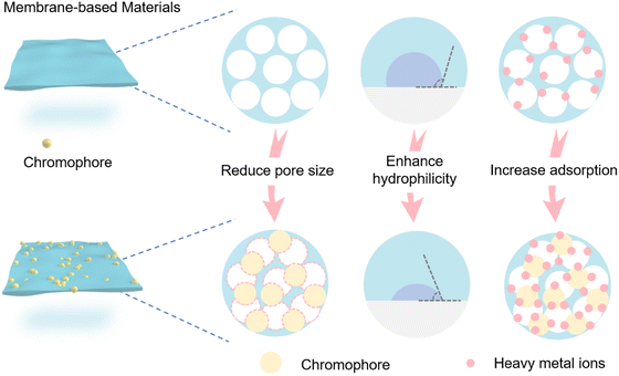 Current trends in the detection and removal of heavy metal ions using ...