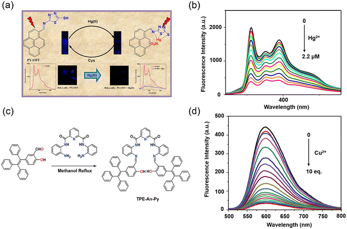 Current trends in the detection and removal of heavy metal ions using ...