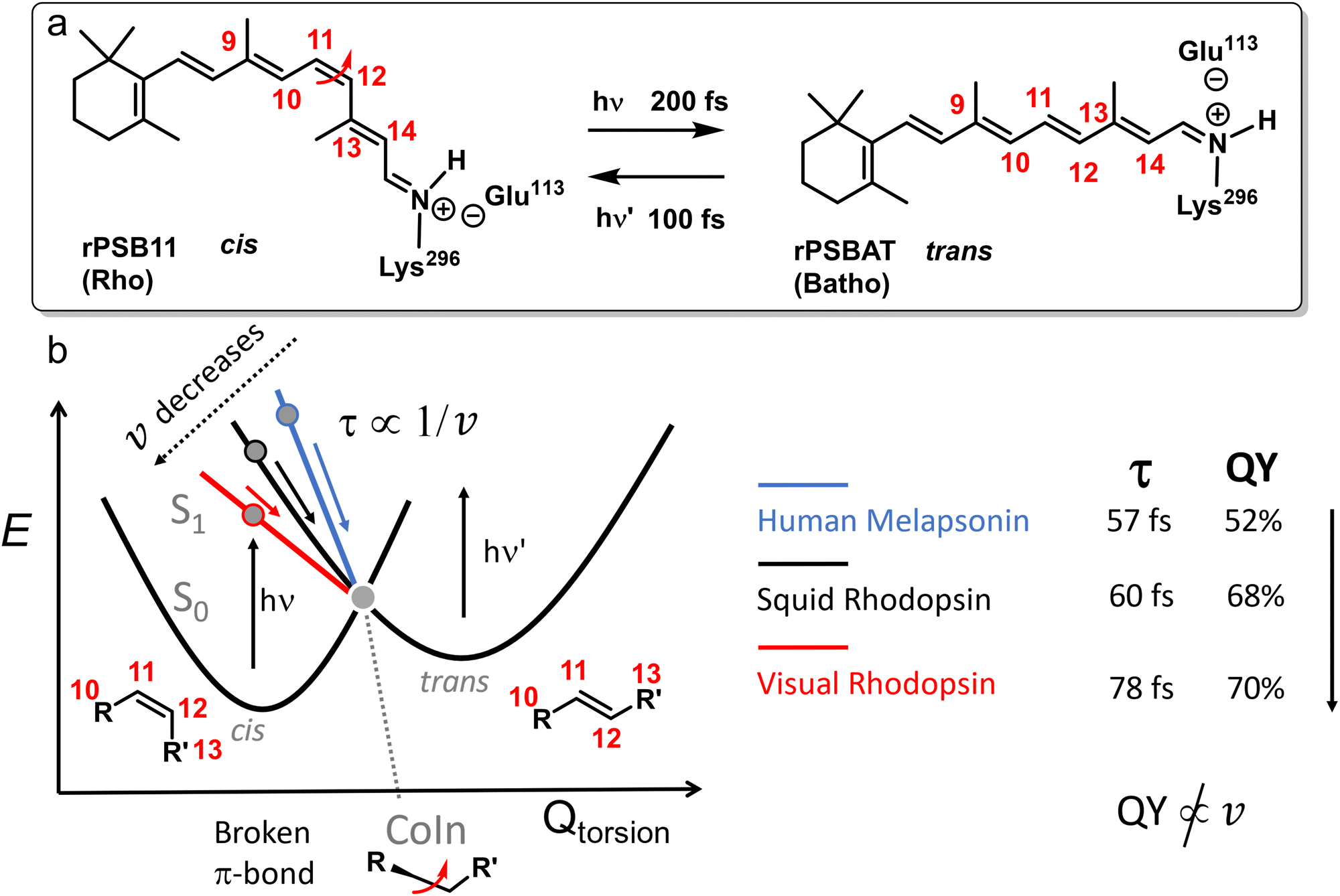From a one-mode to a multi-mode understanding of conical intersection mediated ultrafast organic ...