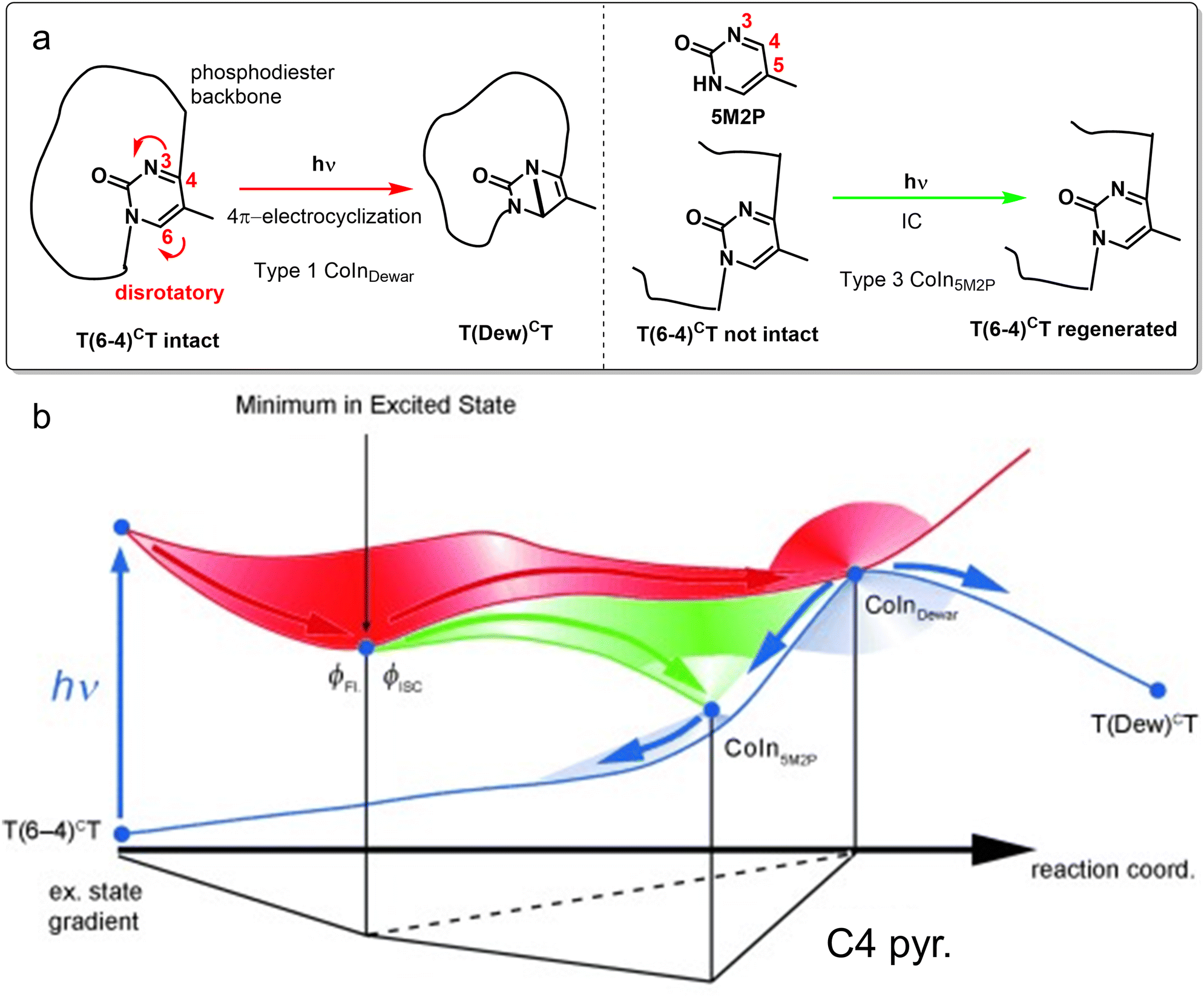 From a one-mode to a multi-mode understanding of conical intersection mediated ultrafast organic ...