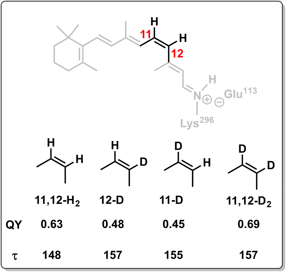 From a one-mode to a multi-mode understanding of conical intersection mediated ultrafast organic ...