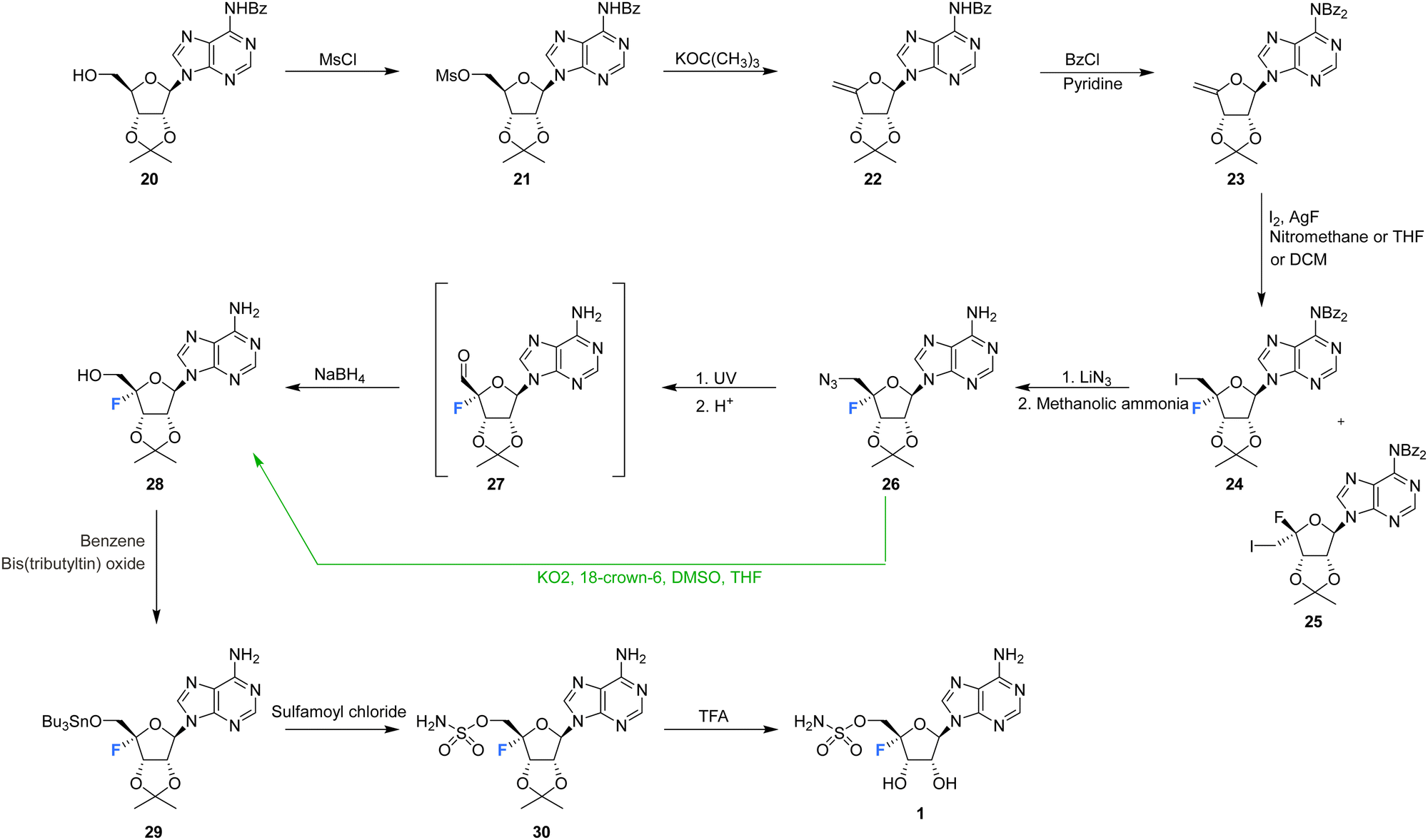 4′-Fluoro-nucleosides and nucleotides: from nucleocidin to an emerging ...