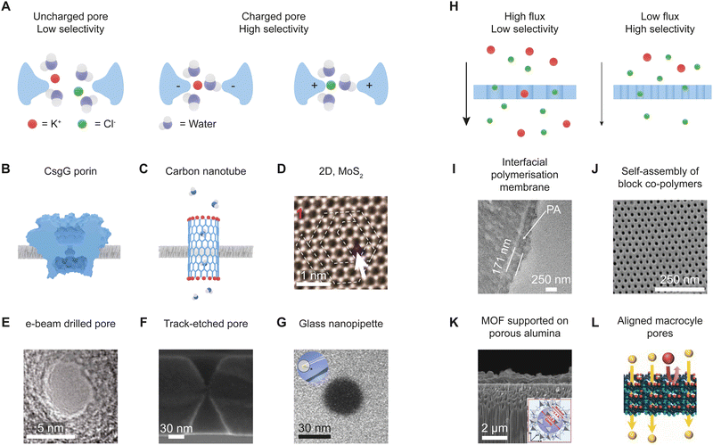 Nanopores: synergy from DNA sequencing to industrial filtration – small ...