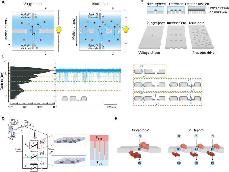 Nanopores: synergy from DNA sequencing to industrial filtration – small ...
