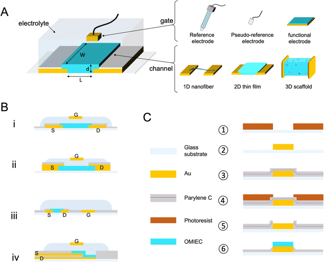 A guide for the characterization of organic electrochemical transistors ...