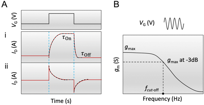 A guide for the characterization of organic electrochemical transistors ...